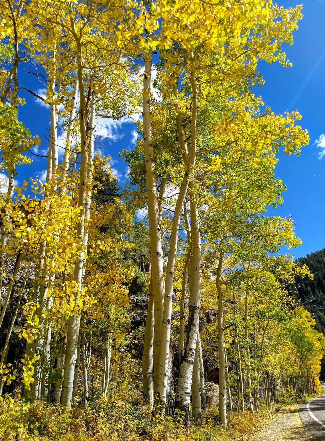 Best Scenic Drives in Utah - The Golden Hour Adventurer