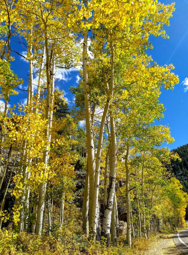 Best Scenic Drives in Utah - The Golden Hour Adventurer