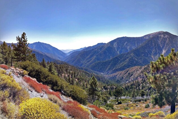 Wild California: The Best 14 Day Road Trip Itinerary - The Golden Hour ...