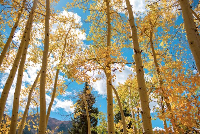 Colorado Fall Road Trip Itinerary - The Golden Hour Adventurer