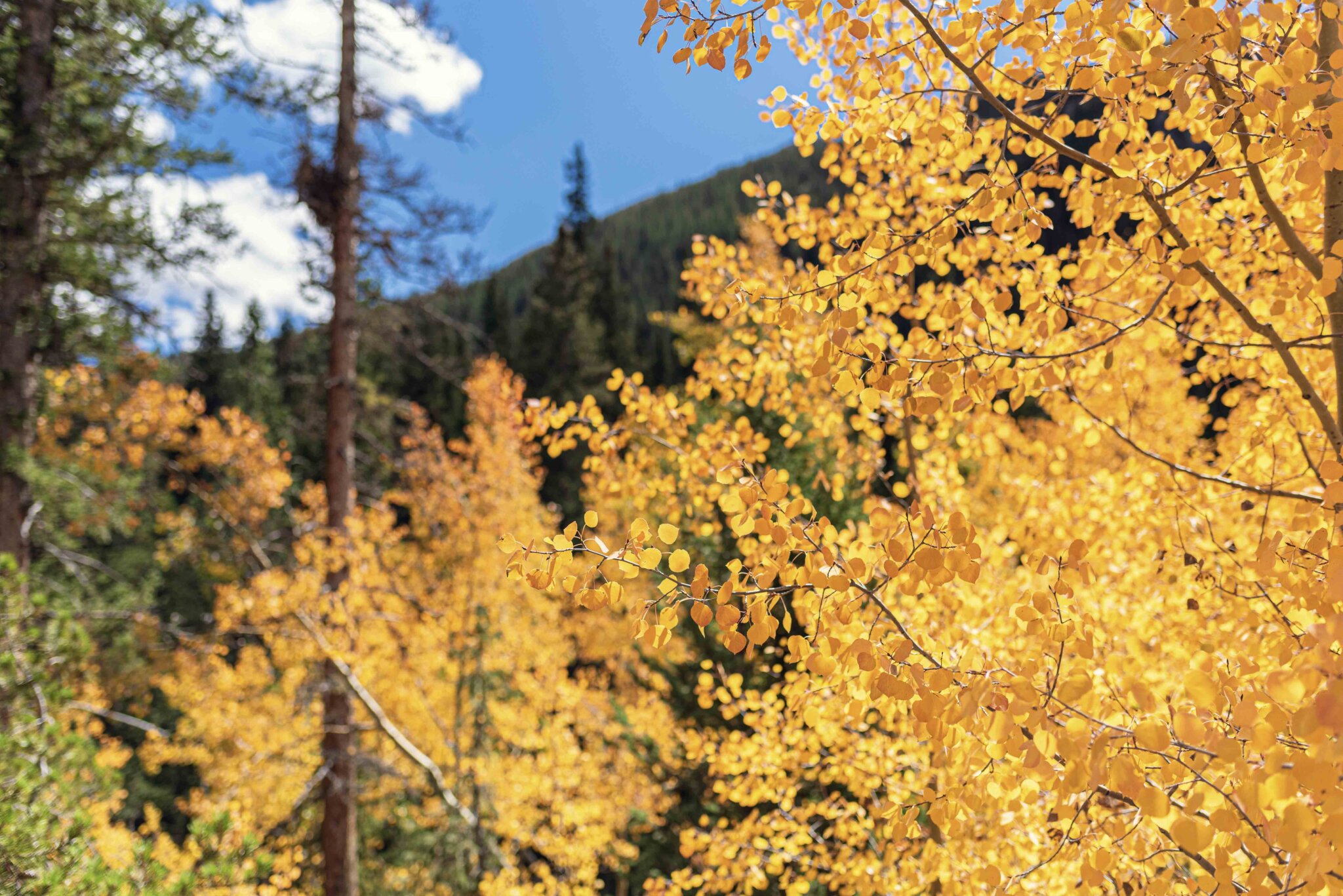 Colorado Fall Road Trip Itinerary - The Golden Hour Adventurer