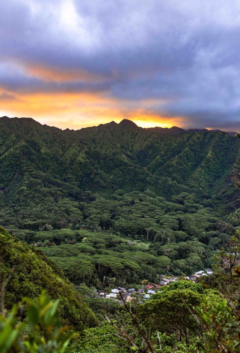 How To Take Photos During Golden Hour - The Golden Hour Adventurer