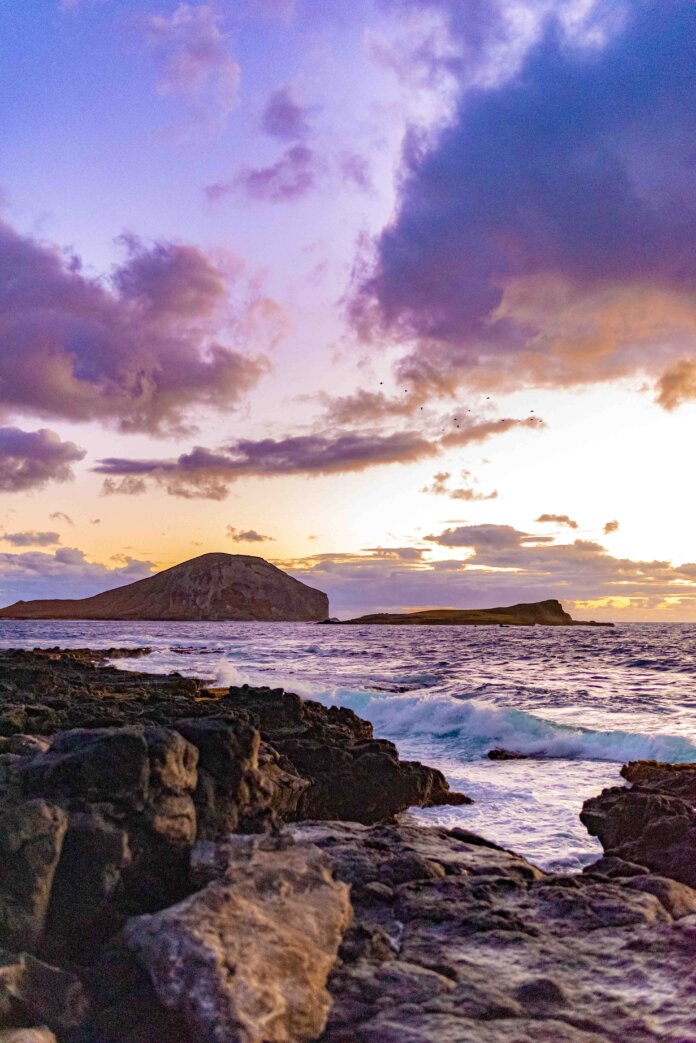 How To Take Photos During Golden Hour - The Golden Hour Adventurer