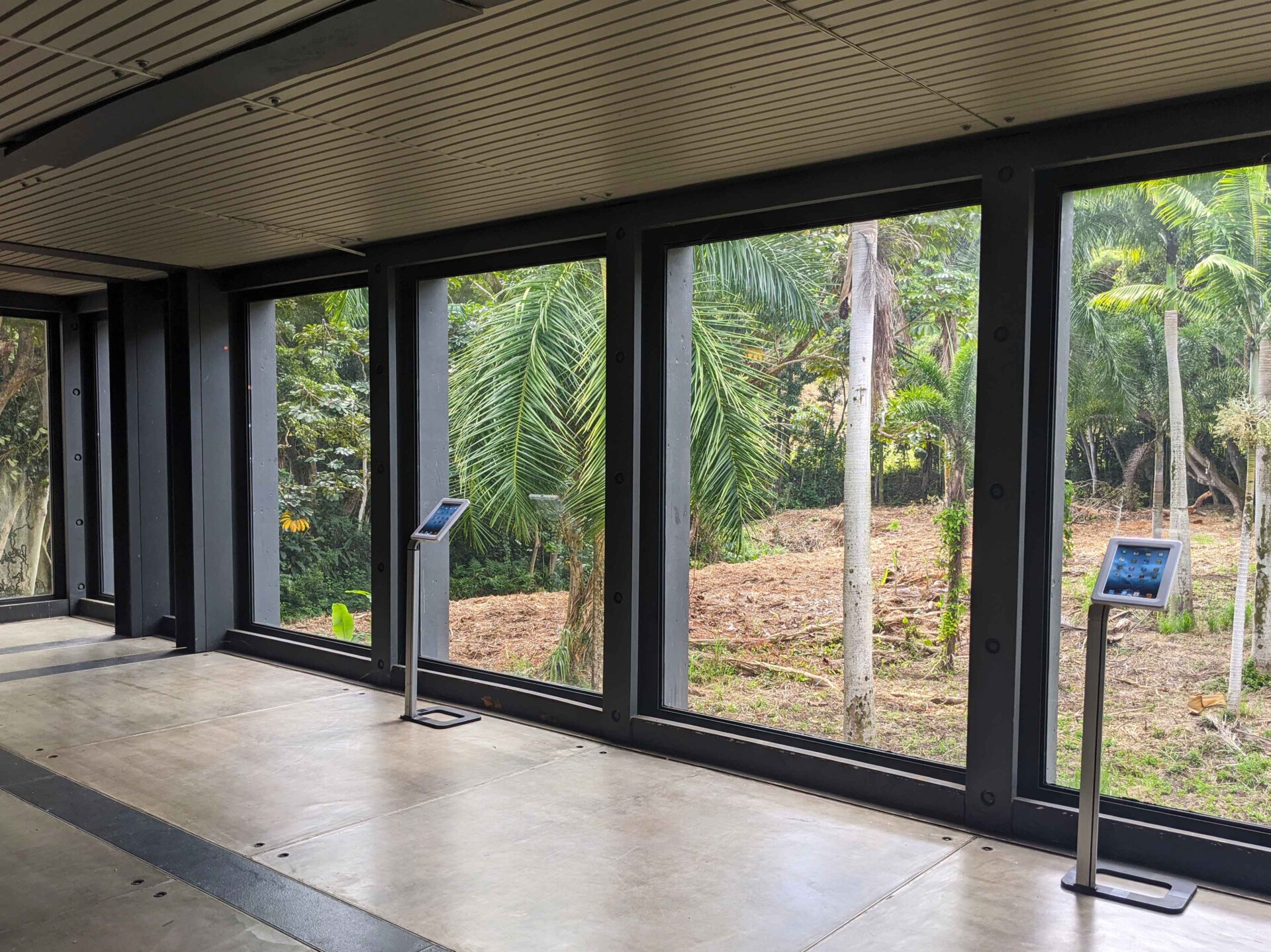 The Best Tours at Kualoa Ranch - The Golden Hour Adventurer