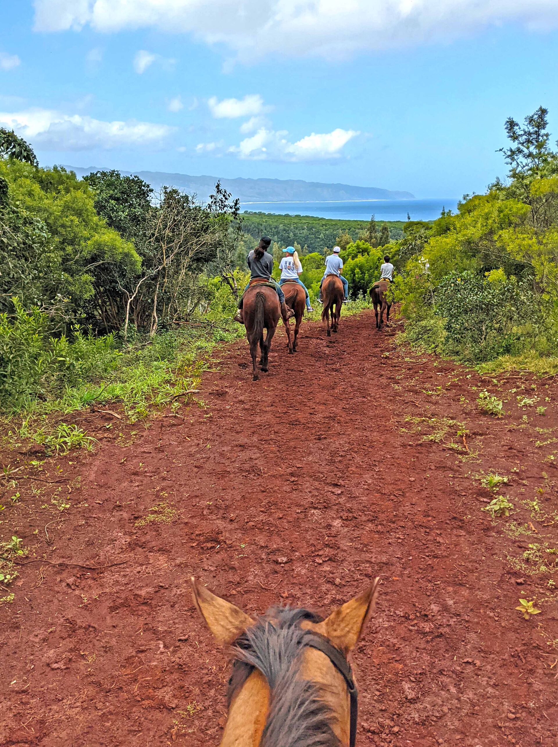 The Most Incredible Horseback Riding Tours in Oahu - The Golden Hour ...