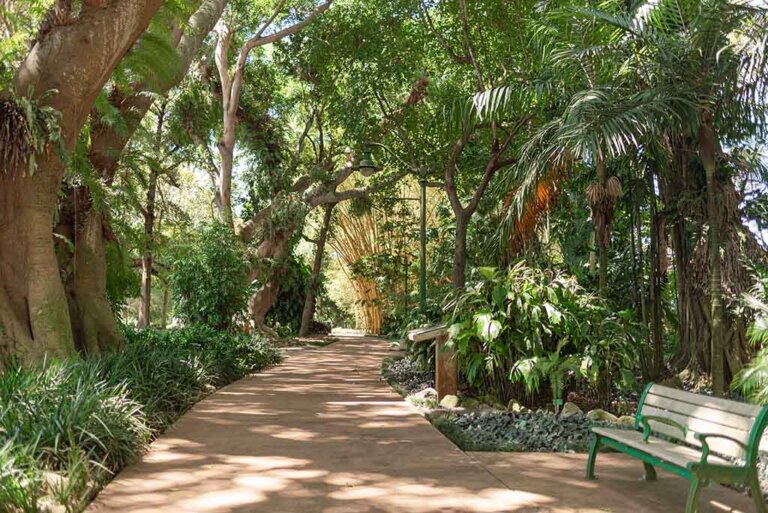 The Best Botanical Gardens in Oahu Hawaii - The Golden Hour Adventurer
