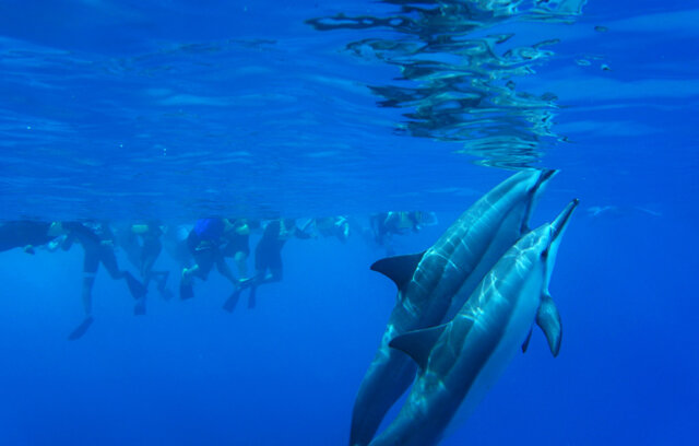 19 Oahu Bucket List Experiences - The Golden Hour Adventurer