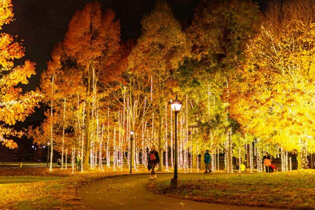 Why You Should Visit Biltmore Estate in the Fall - The Golden Hour ...