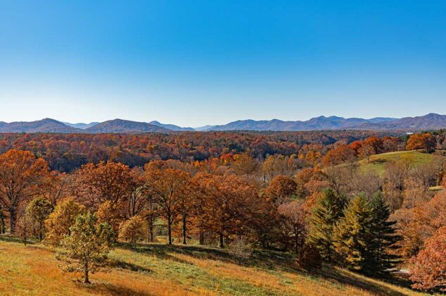 Why You Should Visit Biltmore Estate in the Fall - The Golden Hour ...