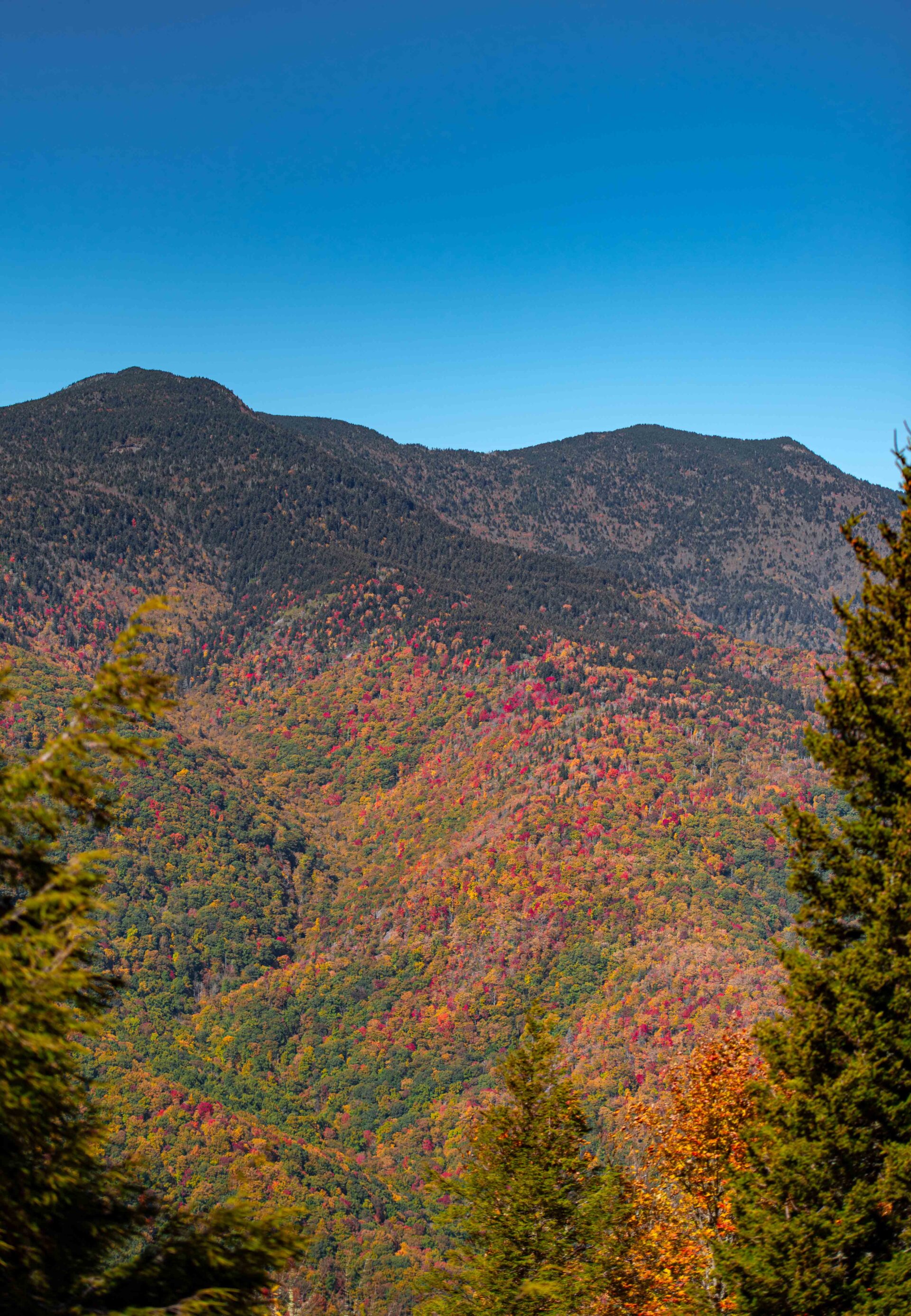 13 Amazing Things to do in Western North Carolina