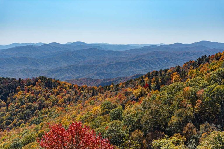 13 Amazing Things to do in Western North Carolina