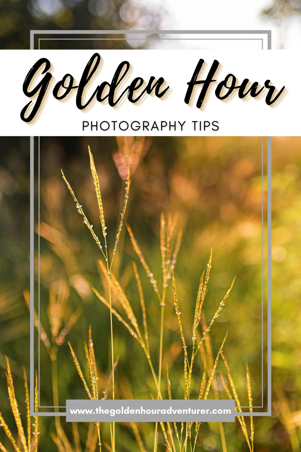 How To Take Photos During Golden Hour - The Golden Hour Adventurer